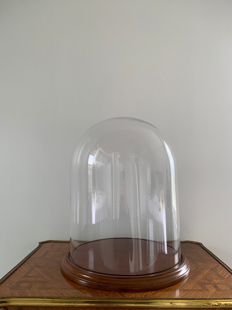 Large Glass Display Dome With Wooden Base | Etsy