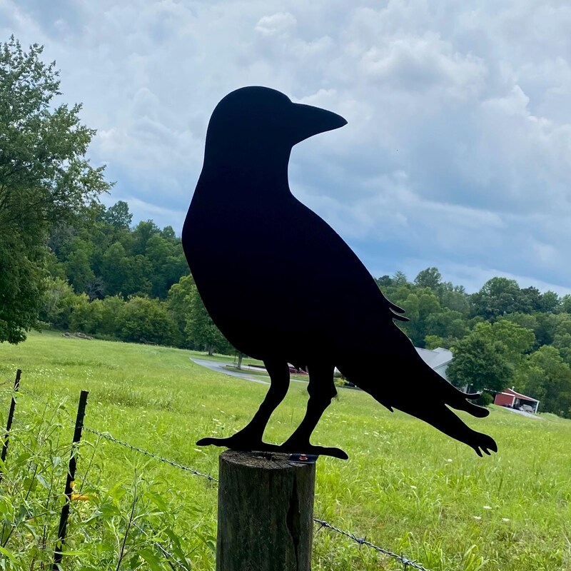 Crow Decor - Etsy