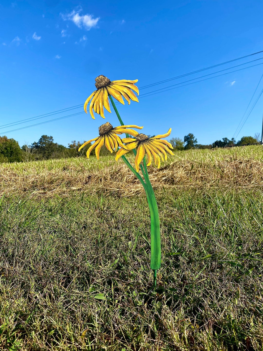 Hand Painted Black Eyed Susan Flower Garden Art - Etsy