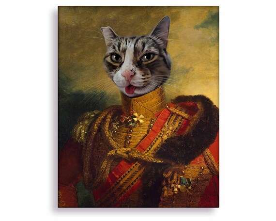 Colonel Cat