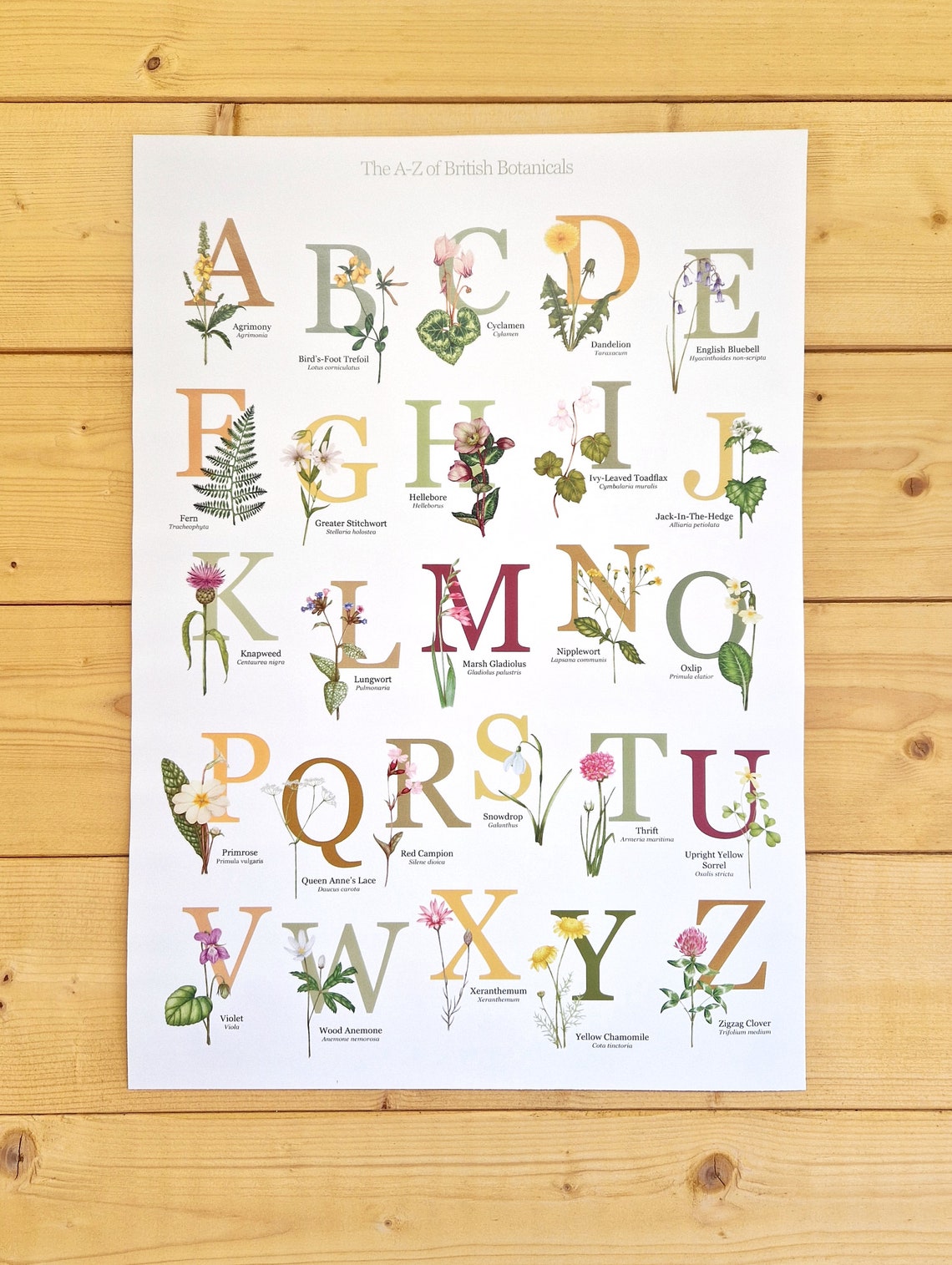 Botanical Alphabet Poster, British Botanicals Poster, Foral Alphabet ...