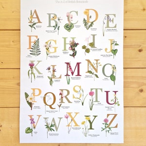 Botanical Alphabet Poster, British Botanicals Poster, Foral Alphabet ...