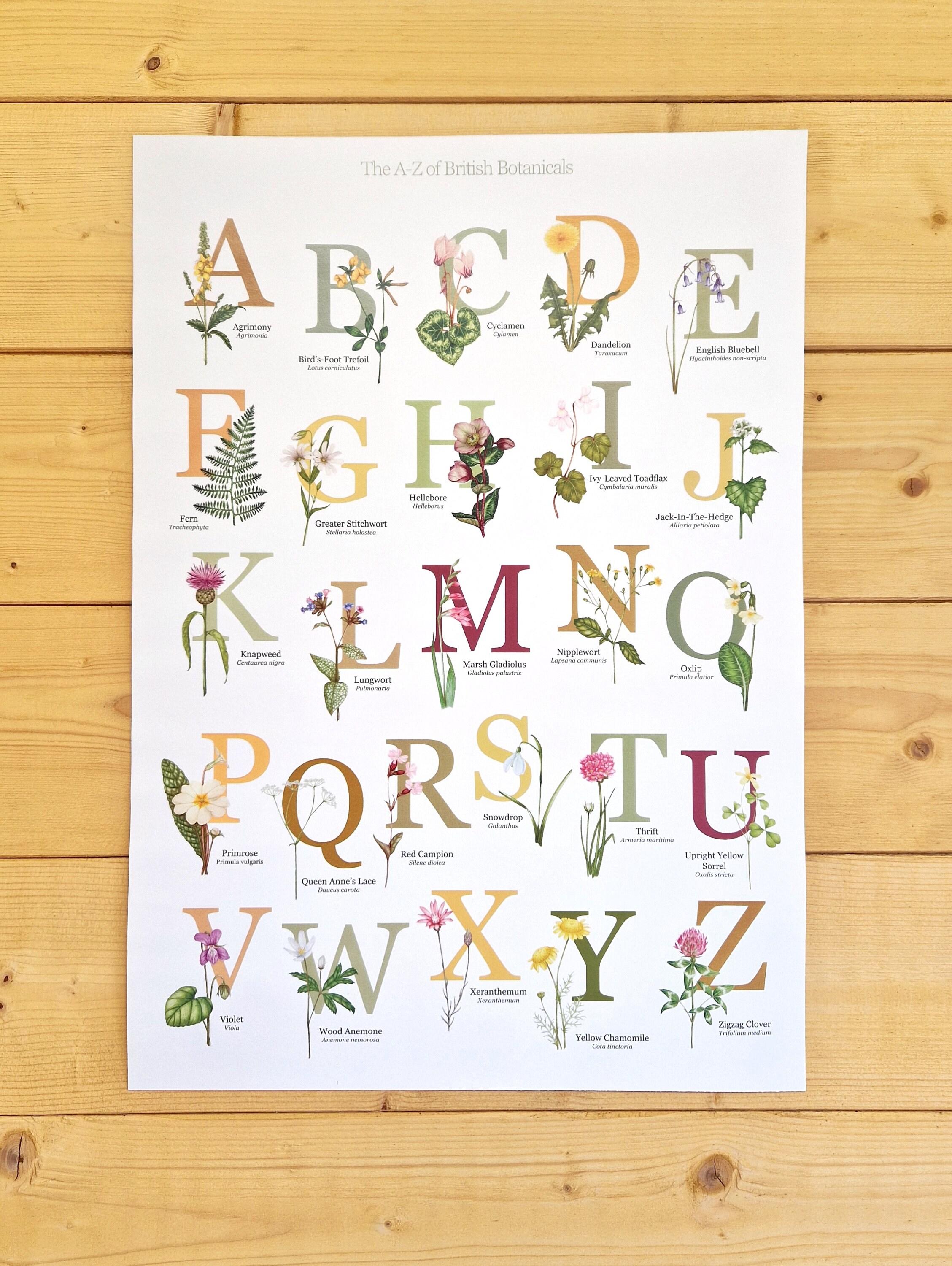 Botanical Alphabet Poster, British Botanicals Poster, Foral Alphabet ...