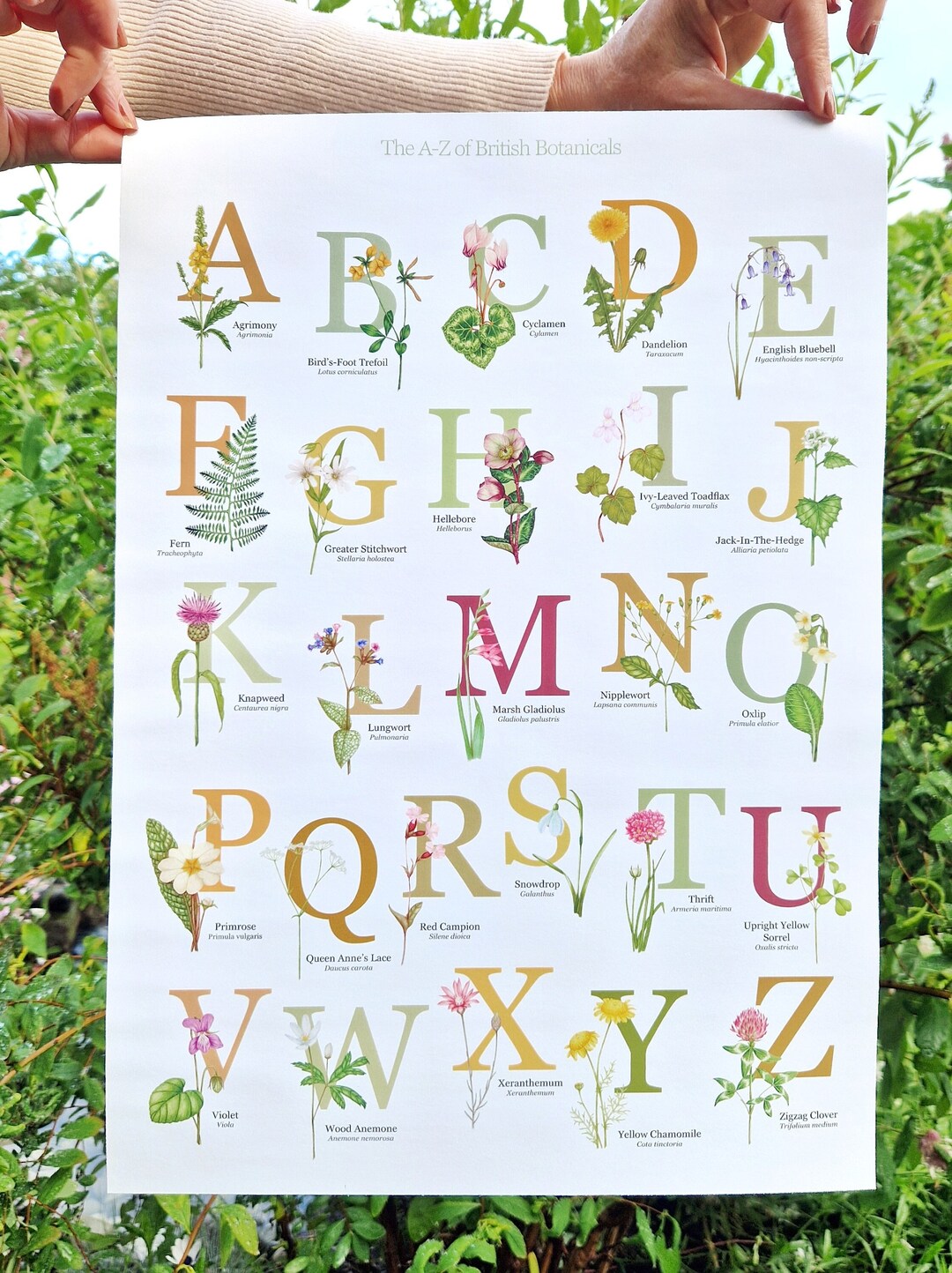 Botanical Alphabet Poster, British Botanicals Poster, Foral Alphabet ...