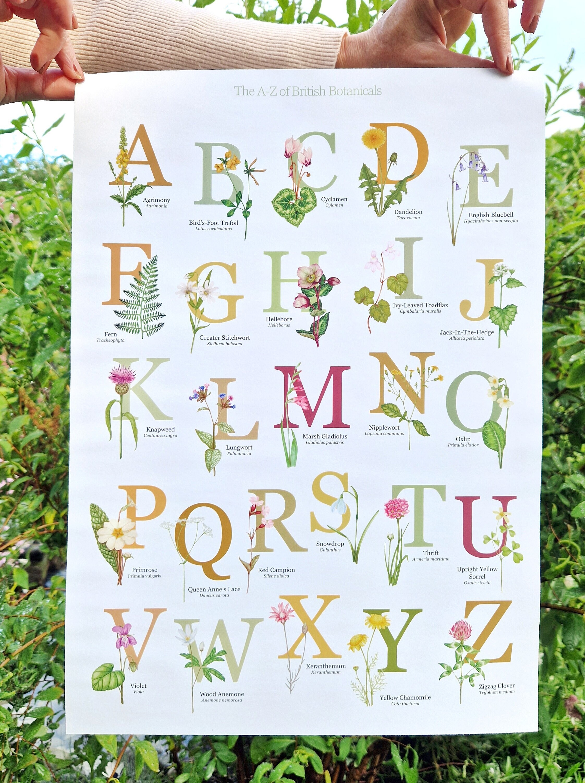 Botanical Alphabet Poster, British Botanicals Poster, Foral Alphabet ...
