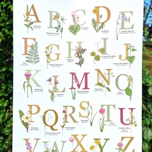 Botanical Alphabet Poster, British Botanicals Poster, Foral Alphabet ...