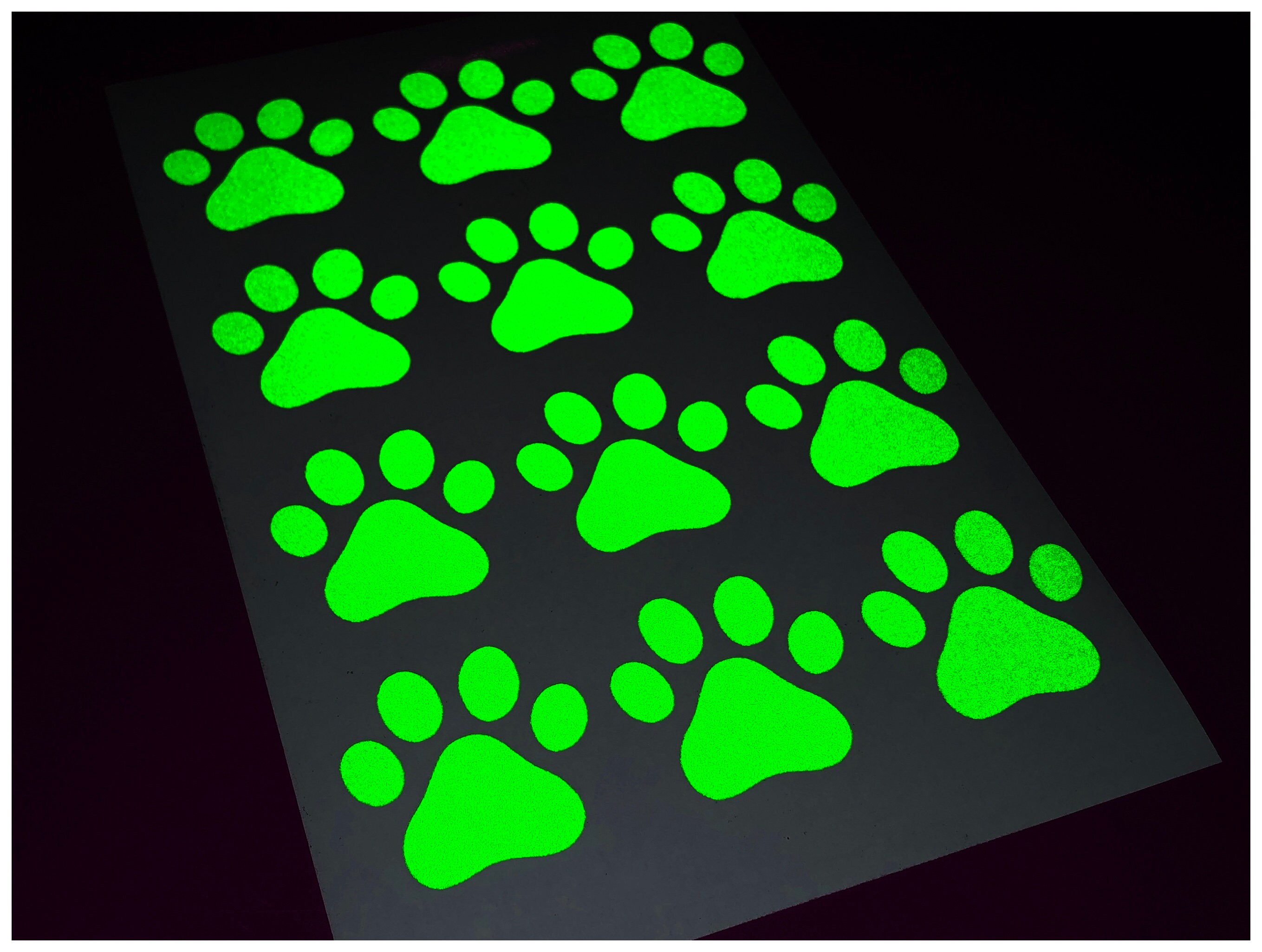Veloviz Reflective Paw Print A5 Die-cut Vinyl Cargo Bike - Etsy