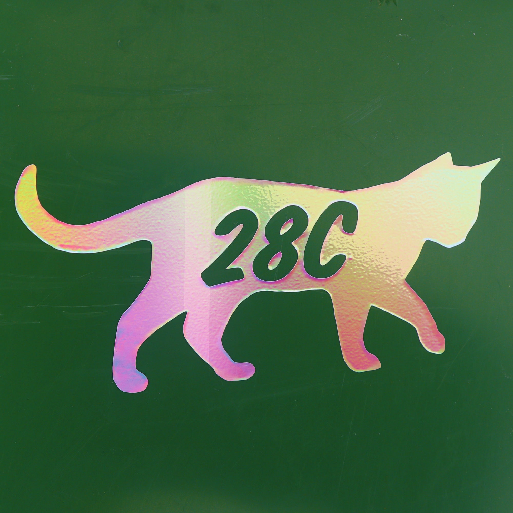 Walking Cat Wheelie Bin House Number Sticker Rainbow effect - Etsy UK