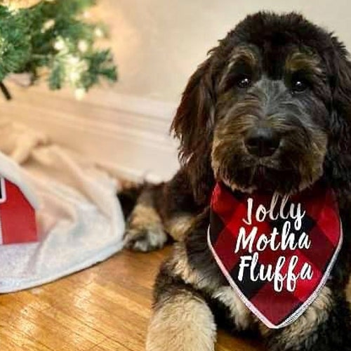 Jolly Motha Fluffa Funny Christmas Holiday Flannel Dog - Etsy