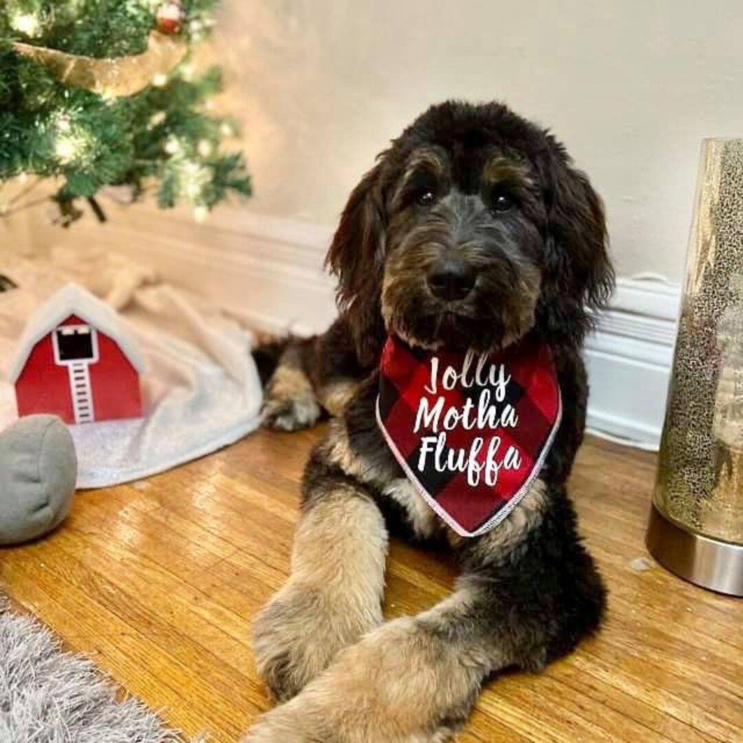 Jolly Motha Fluffa - Funny Christmas Holiday Flannel Dog Bandana - Etsy