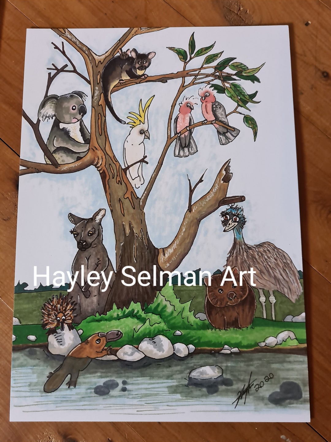 A4 Australian Animals Art Prints - Etsy