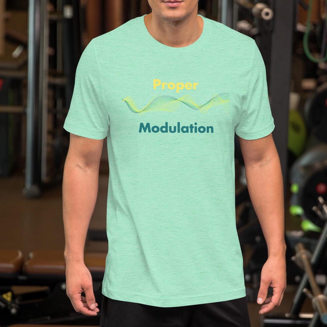 Proper Modulation Howard Stern Show T-shirt - Etsy