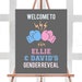 Gender Reveal Menu Template, Printable Gender Reveal Menu, Blue or Pink ...