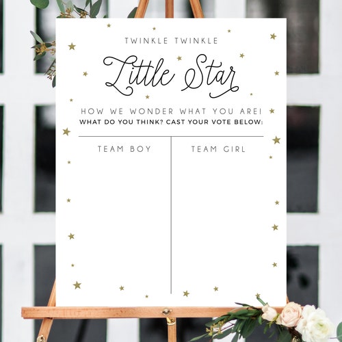 Little Star Gender Reveal Voting Sign Template Twinkle - Etsy