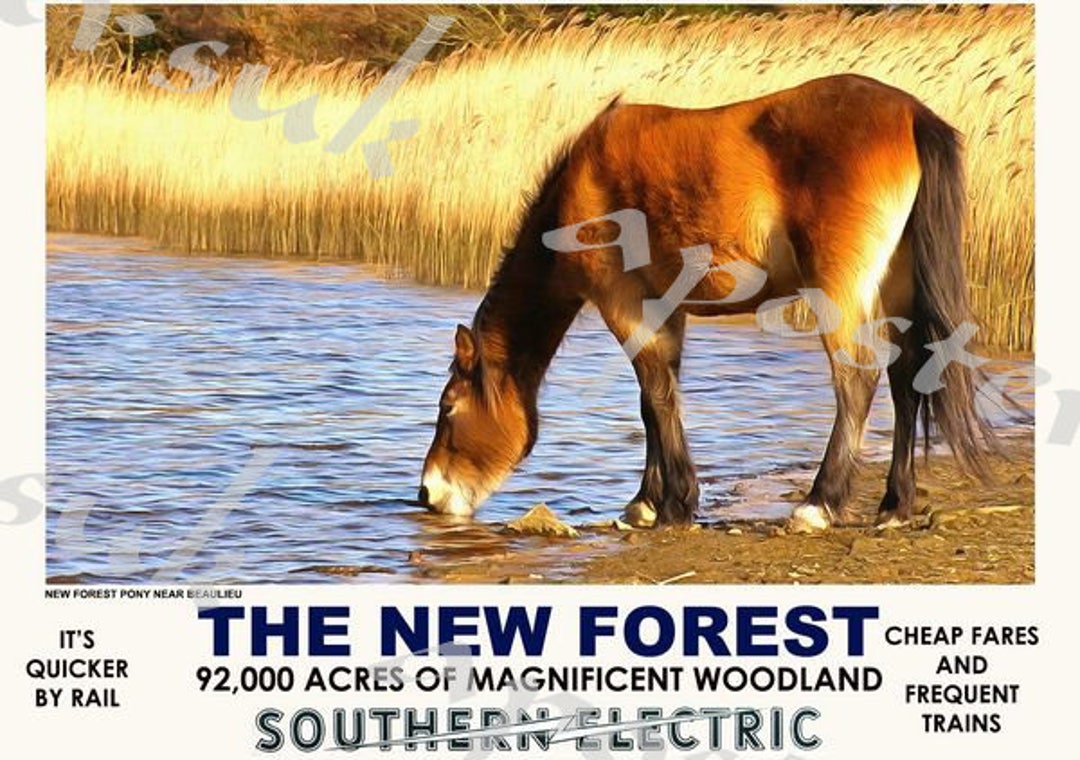 Vintage Style Railway Poster New Forest A3/A2 Print - Etsy