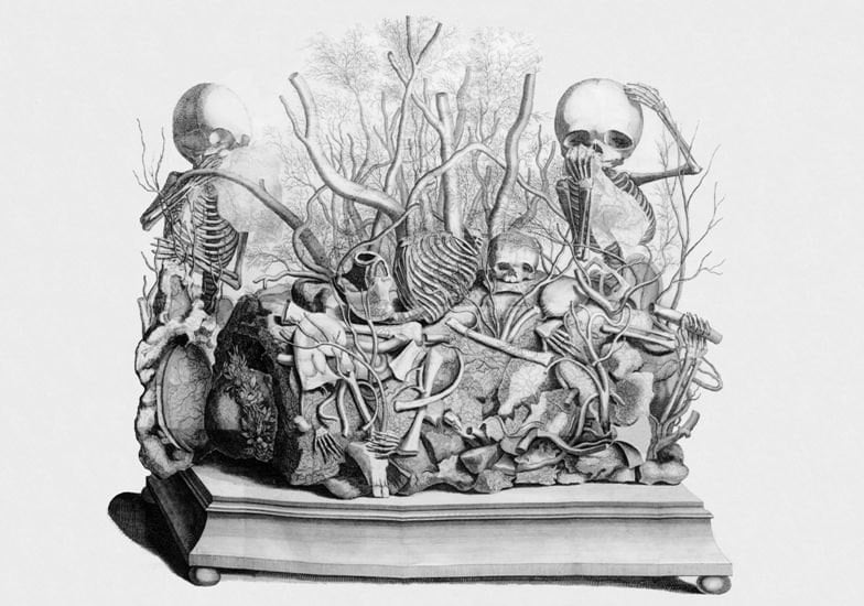 Antique Medical Fetal Skeletons Illustration A3 Poster V.2 Reprint - Etsy