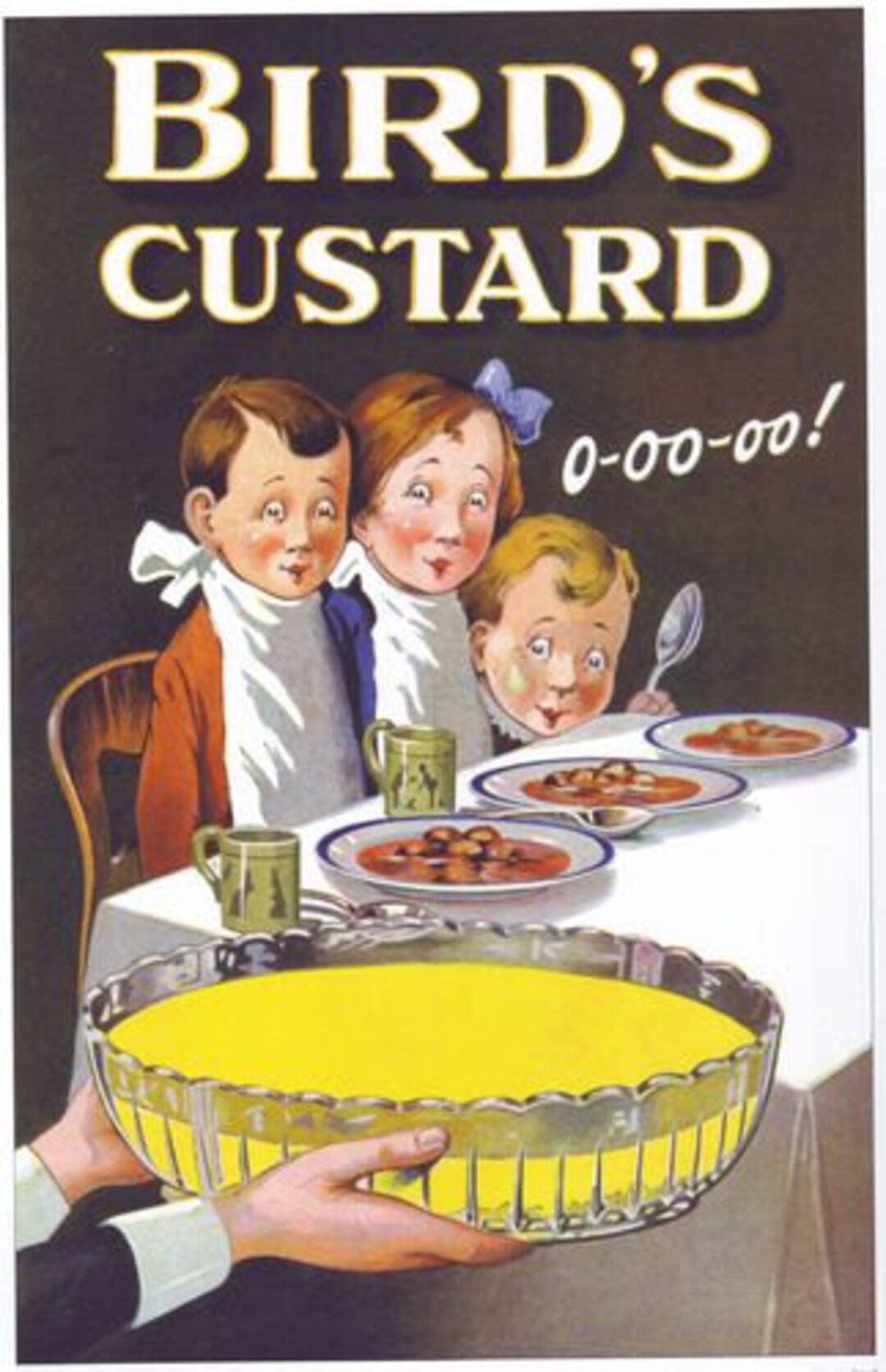 Vintage Birds Custard Advertisement Poster A3/A2/A1 Print - Etsy