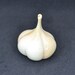 Glass Garlic Figurine Blown Glass Garlic Sculpture Handmade Garlic ...