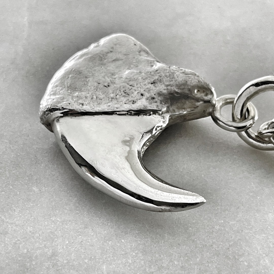 Lion Claw, Lion Claw Pendant, Lion Claw Necklace, Claw Pendant, Claw ...