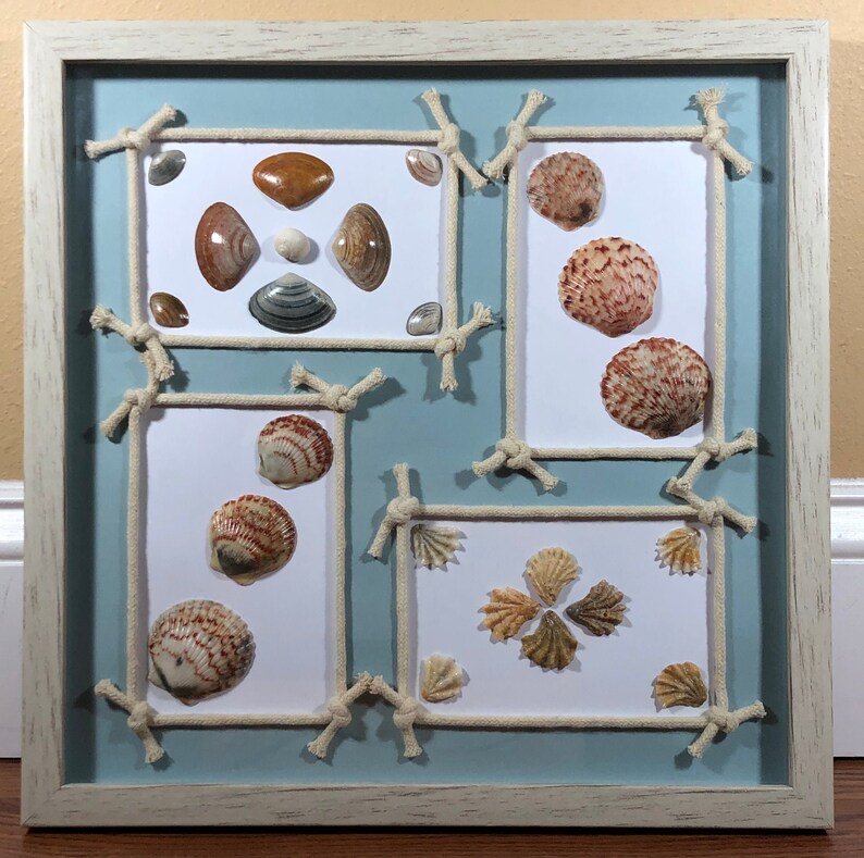 Seashell Wall Décor Seashell Shadow Box Beach Décor Coastal Home Décor ...