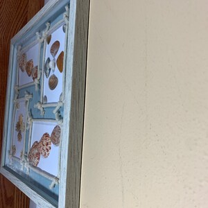 Seashell Wall Décor Seashell Shadow Box Beach Décor Coastal Home Décor ...