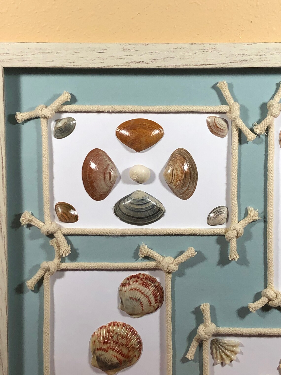 Seashell Wall Décor Seashell Shadow Box Beach Décor Coastal Home Décor ...