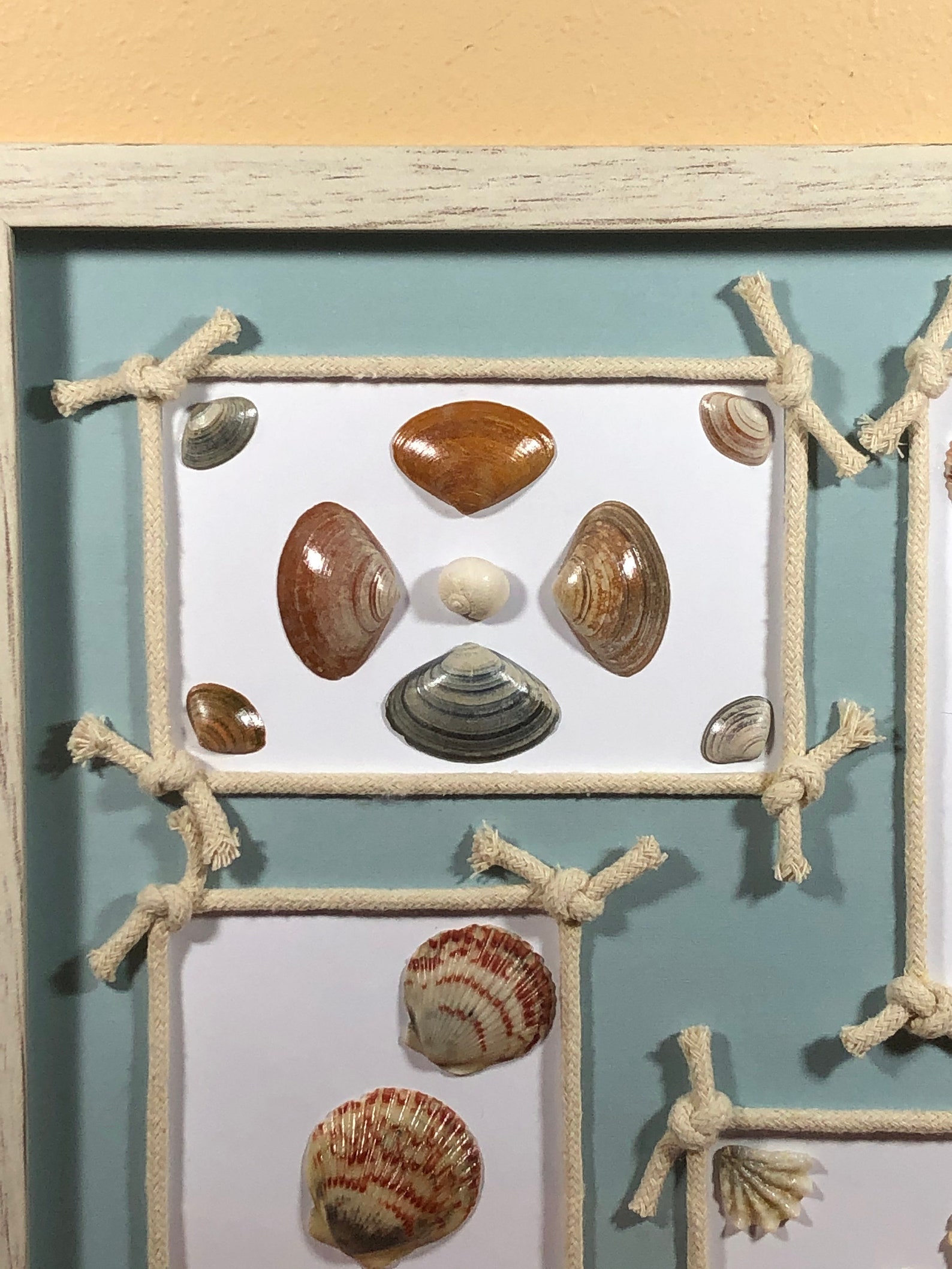 Seashell Wall Décor Seashell Shadow Box Beach Décor Coastal Home Décor ...