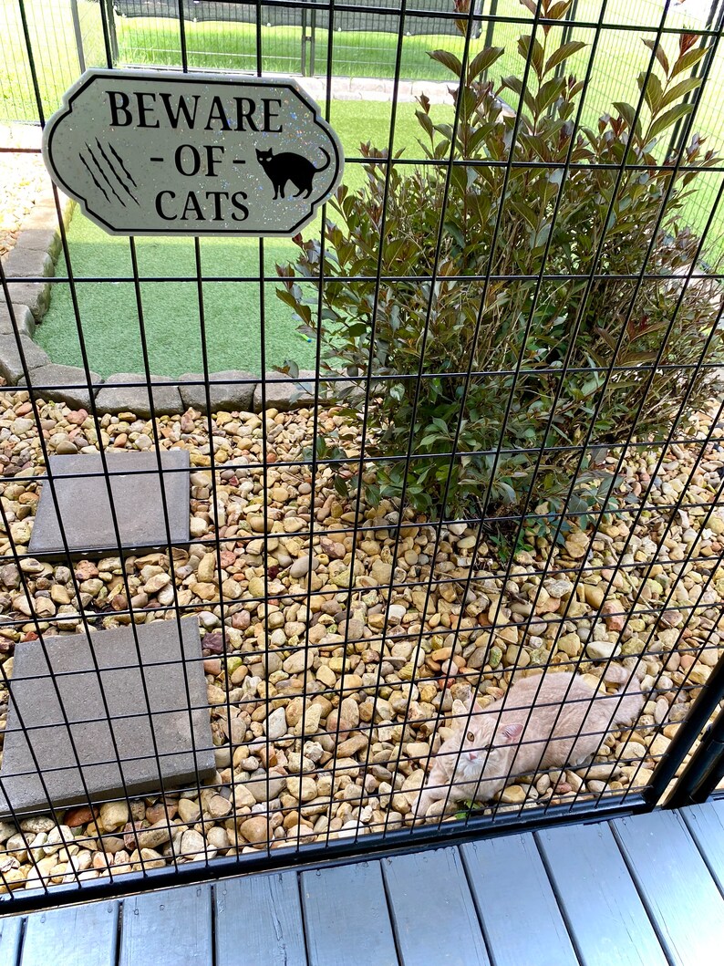 Customizable BEWARE OF CAT Sign! - Etsy