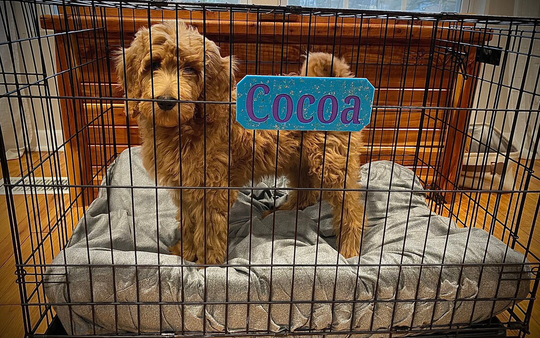 LARGE Personalized Universal Name Plate for Crate/kennel - Etsy