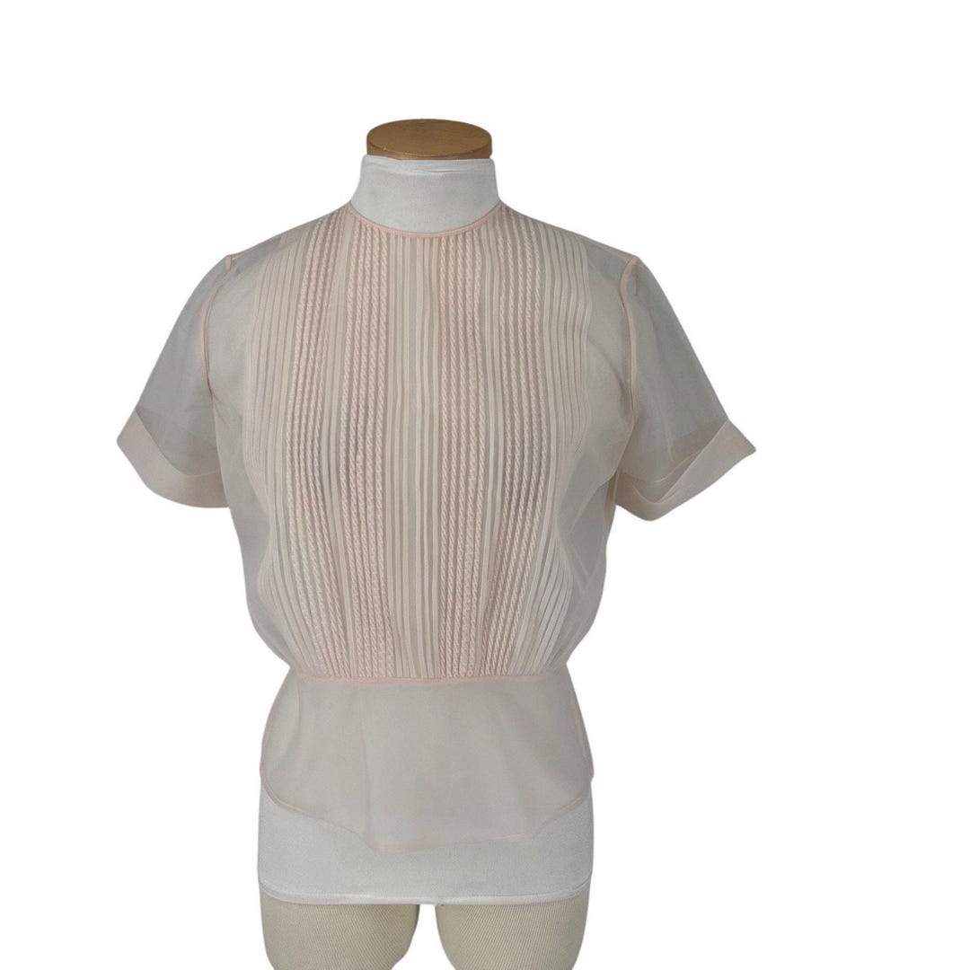Vintage 50's Penny Potter Sheer Blouse Micro Pleat Peplum Pink Back ...