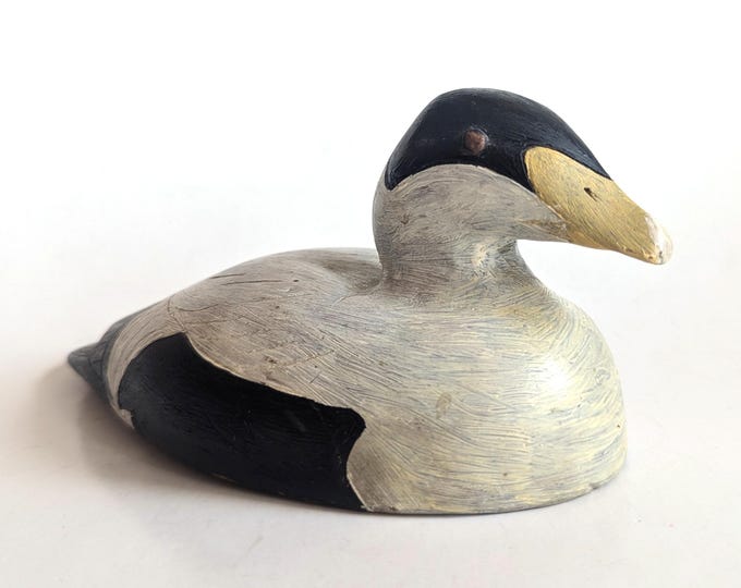 Vintage Common Eider Cuddy's Duck somateria Mollissima Hand Curved ...