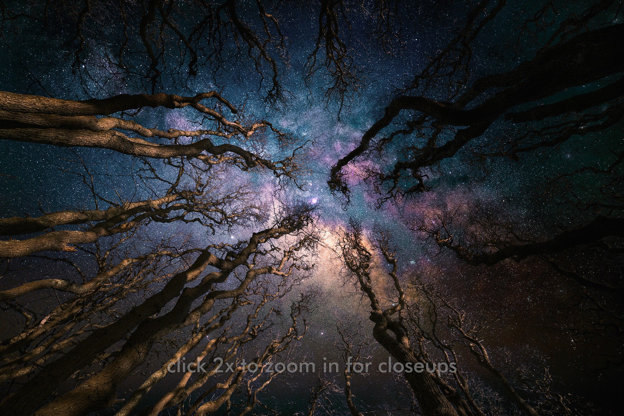 Milky Way Print Milky Way Wall Art Milky Way Forest Print Milky Way Art ...