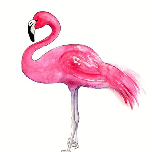 Pink Flamingo - Note Cards - 4"x6" - Individua Cardl - Greeting Card ...