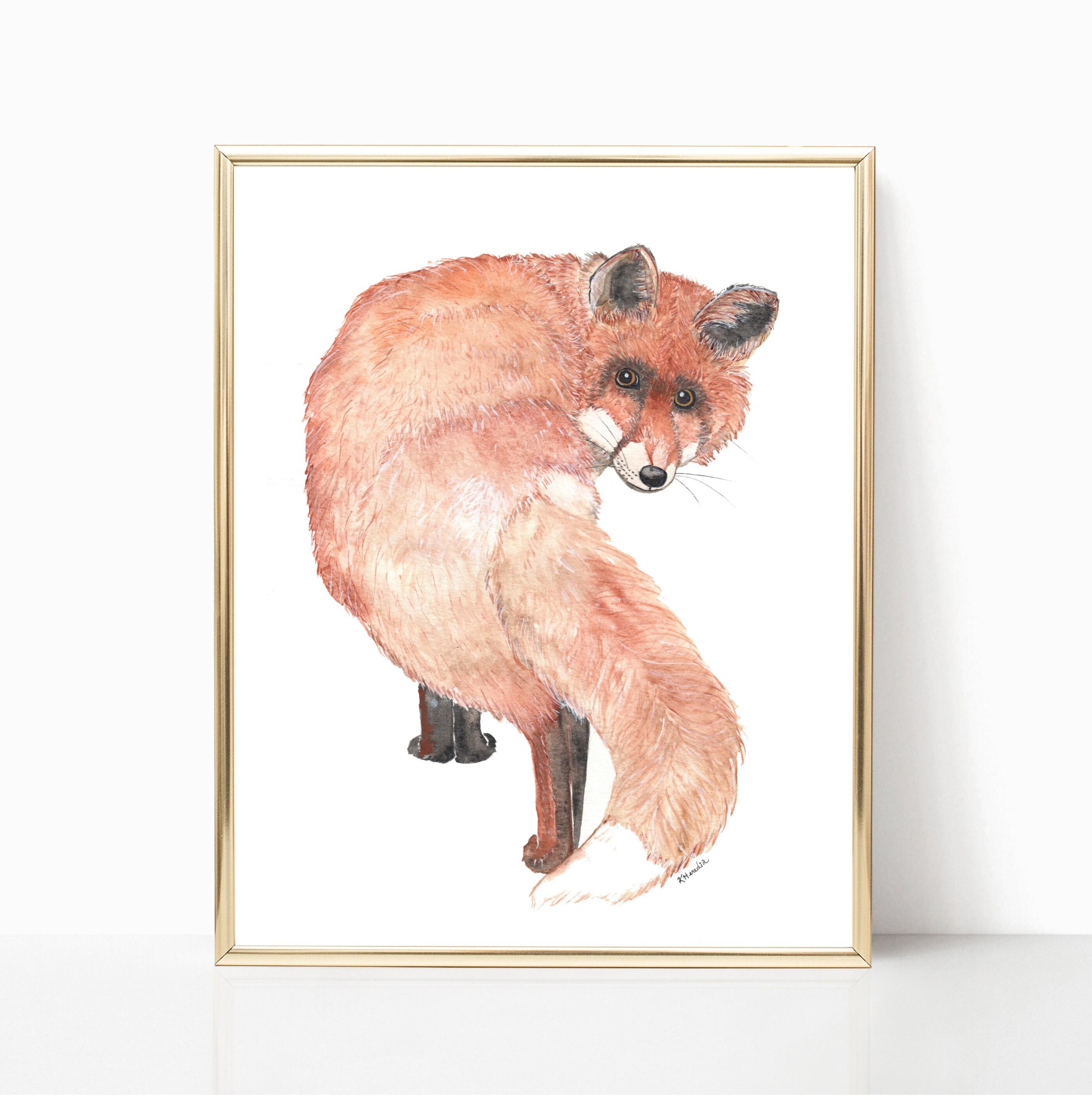 Coy Fox 8x10 Various Sizes Wall Art Gifts | Etsy