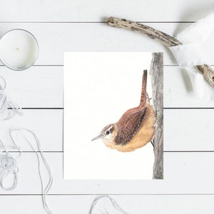 Carolina Wren - Prints - 8"x10" - Various Sizes - Wall Art - Wren Art ...