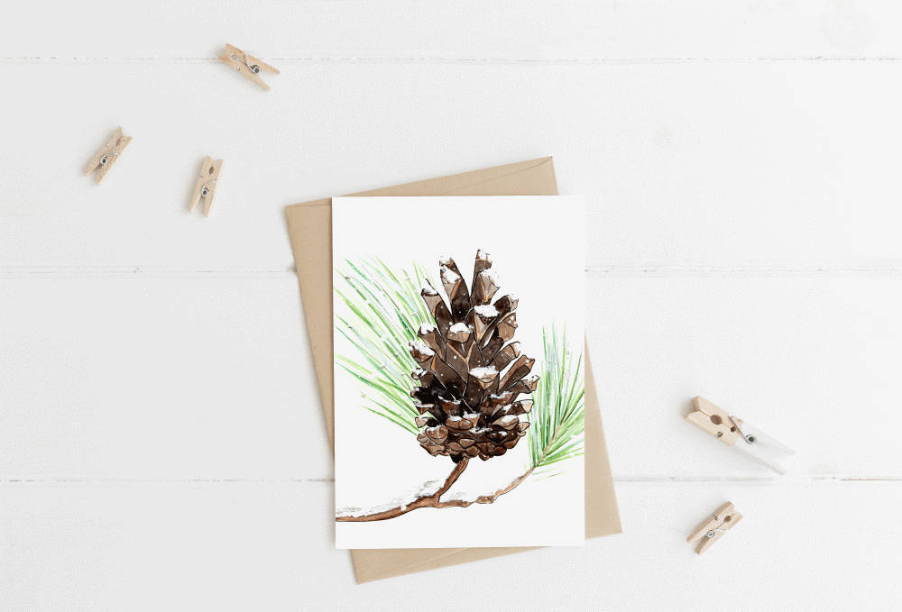Snow Pine Cone 4 Pack - Cards - 4"x6" - Greeting Card Pack - Gifts ...