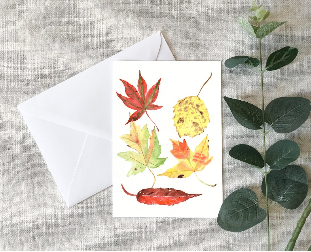 Fall Leaves - Greeting Cards - 4"x6" - Single Card - Gifts - Autumn ...