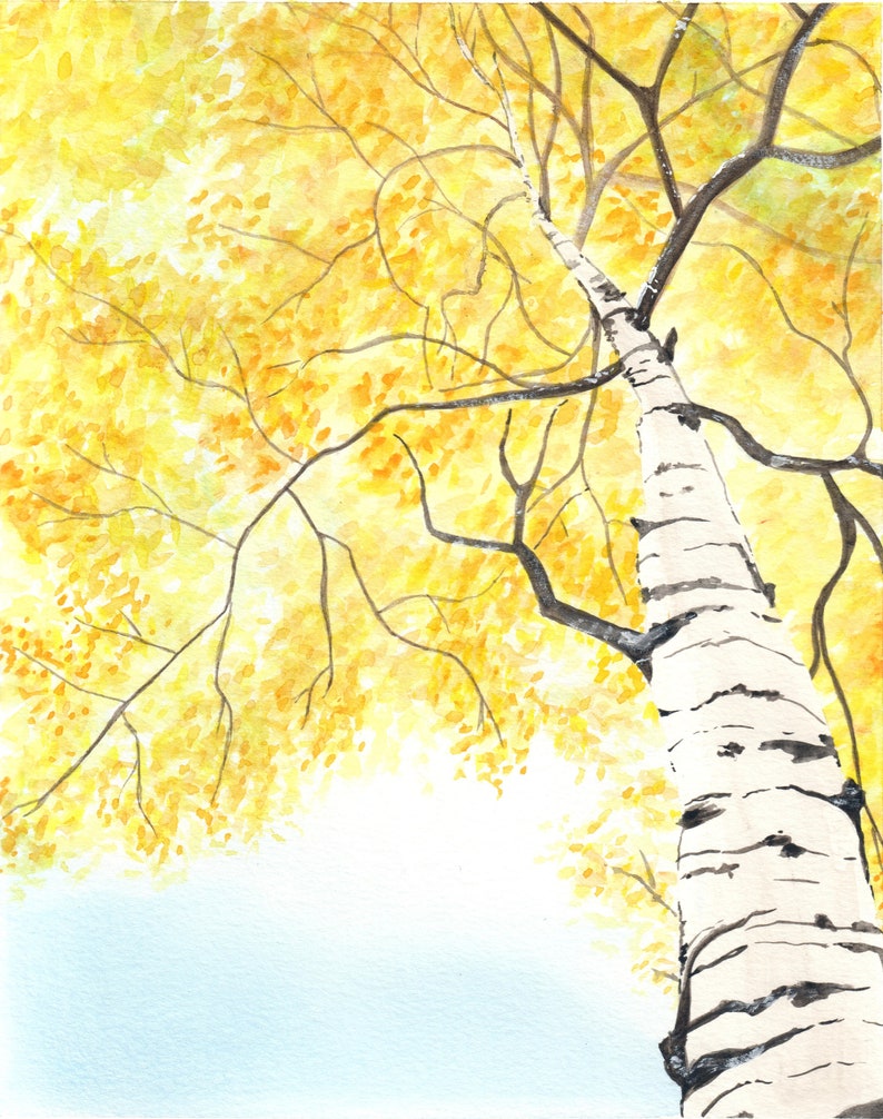 Yellow Birch Tree - Prints - 8"x10" - Various Sizes - Wall Art - Gifts ...