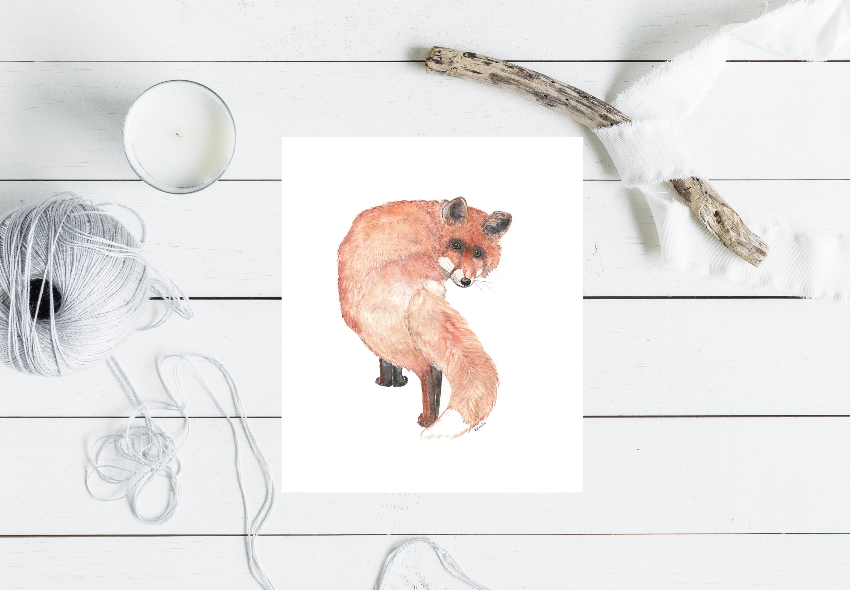 Coy Fox 8x10 Various Sizes Wall Art Gifts | Etsy