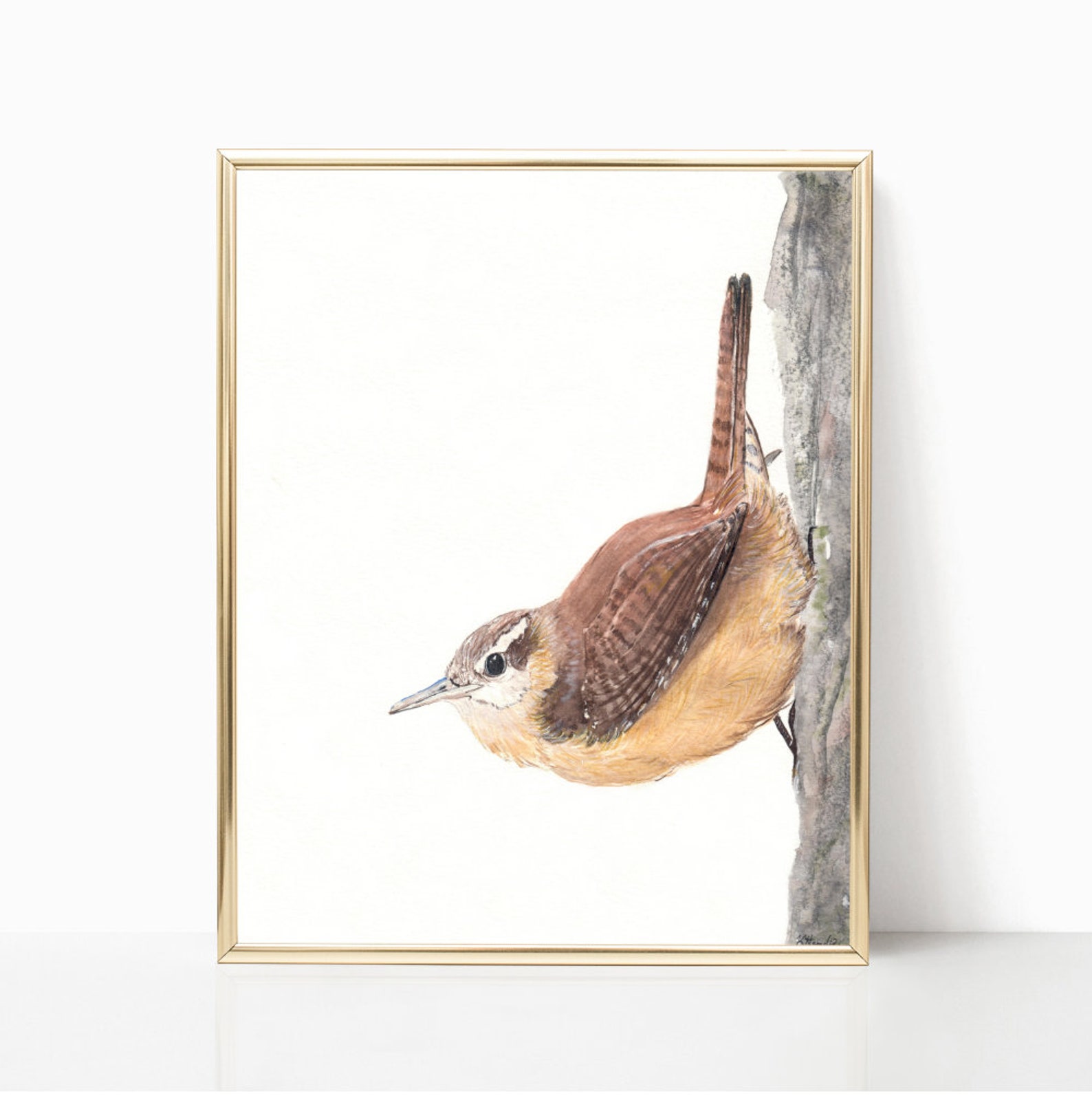 Carolina Wren - Prints - 8"x10" - Various Sizes - Wall Art - Wren Art ...