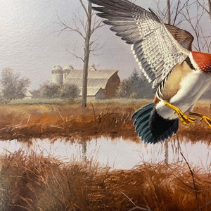 Home Again Wood Ducks David Maass Signed Numbered Print - Etsy