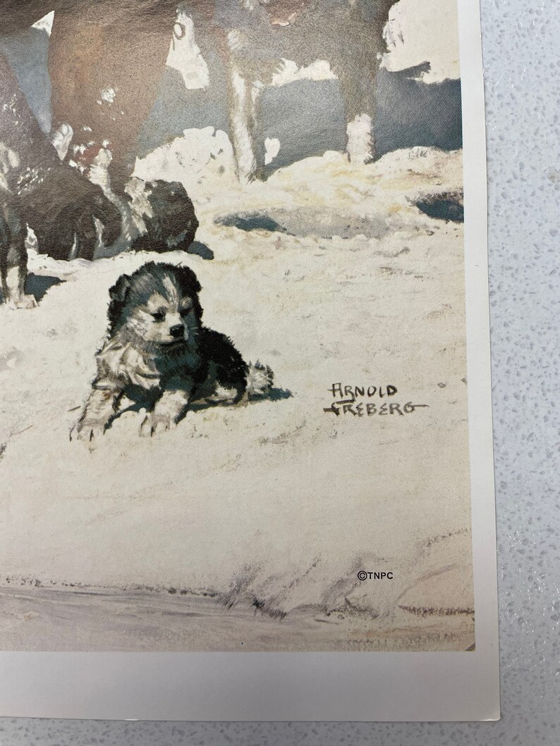 Vintage Arnold Friberg Print Canadian Mountie and Huskie Puppies - Etsy