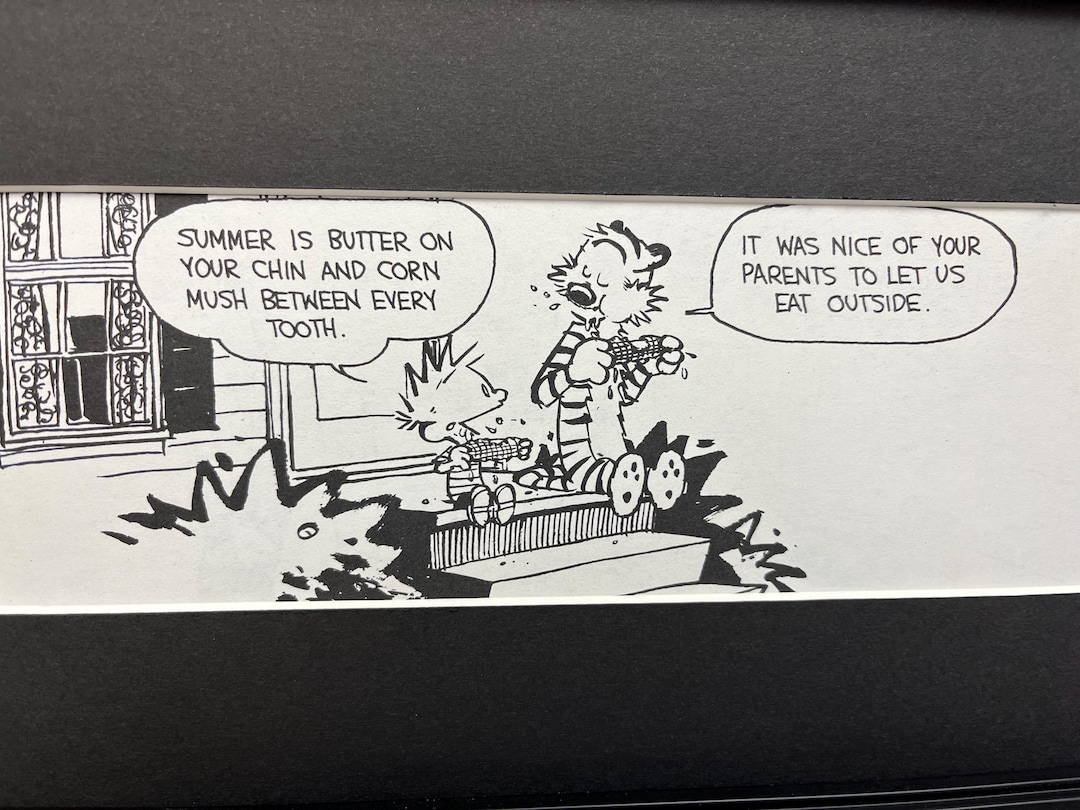 Framed Calvin and Hobbes Eating Outside Comic Bill Watterson - Etsy