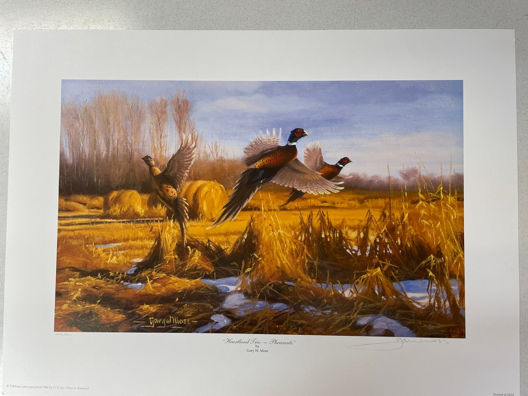 Heartland Trio Pheasants Gary Moss Signed Numbered Print - Etsy