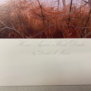 Home Again Wood Ducks David Maass Signed Numbered Print - Etsy