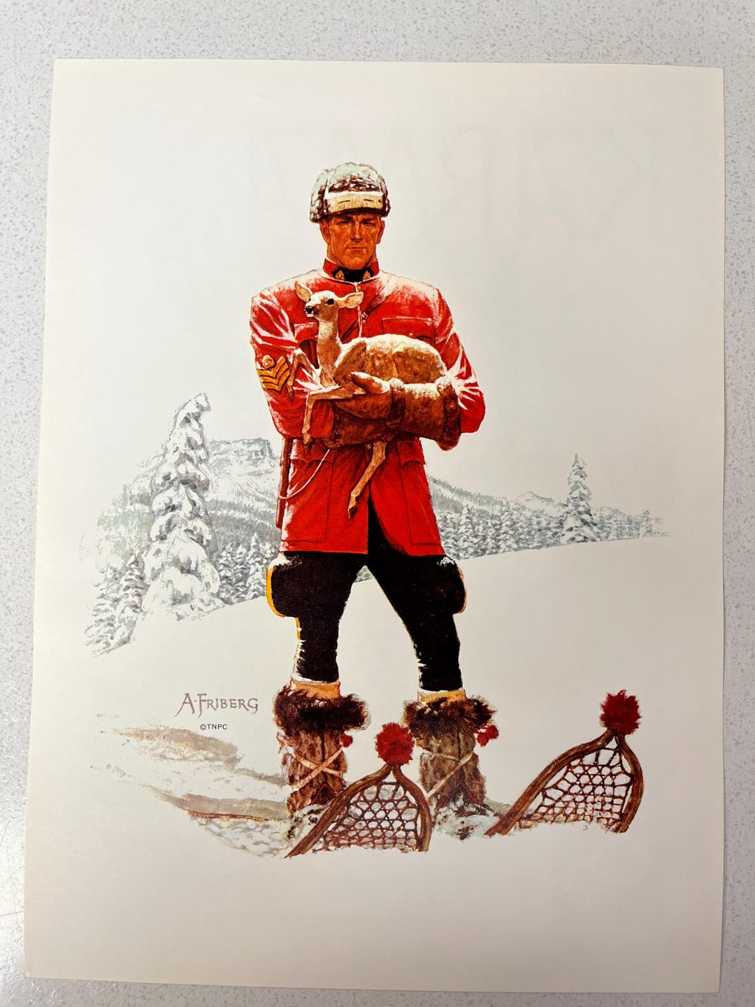 Vintage Arnold Friberg Print Canadian Mountie and Fawn - Etsy