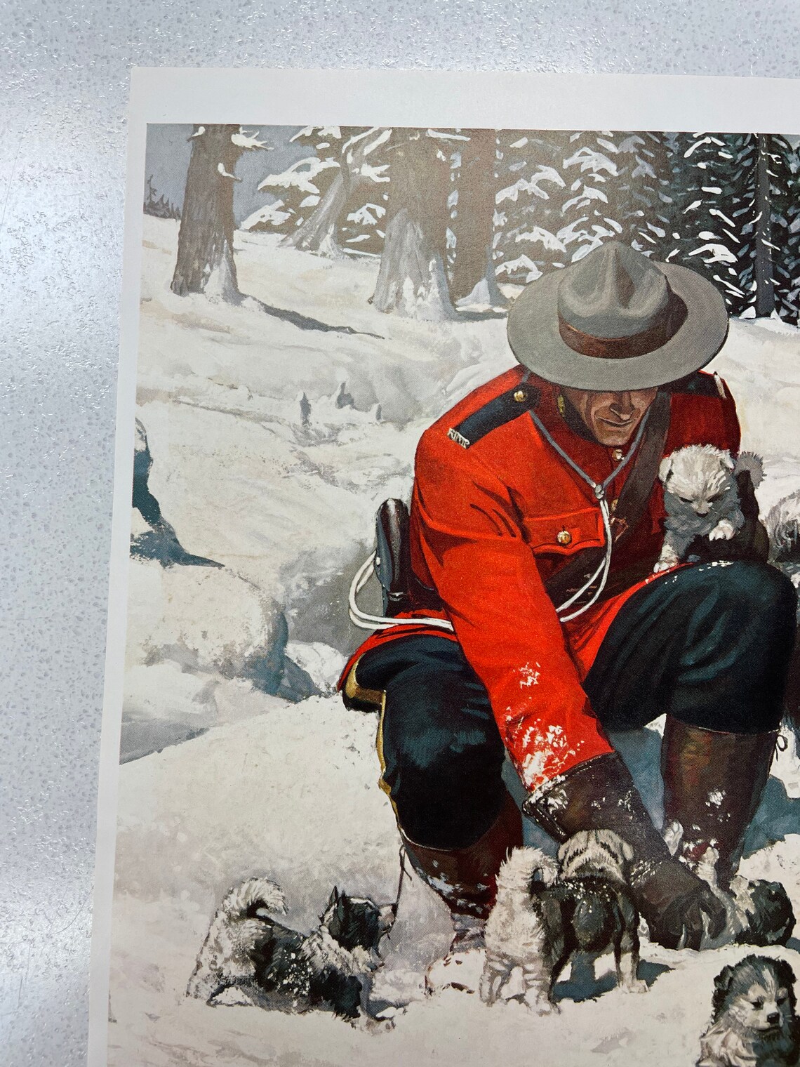 Vintage Arnold Friberg Print Canadian Mountie and Huskie Puppies - Etsy