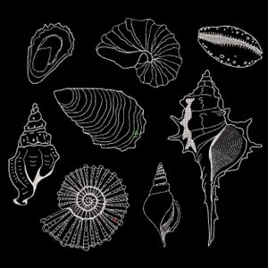 Chinoiserie Shell Set for Machine Embroidery, 8 Nautical Conch Marine ...