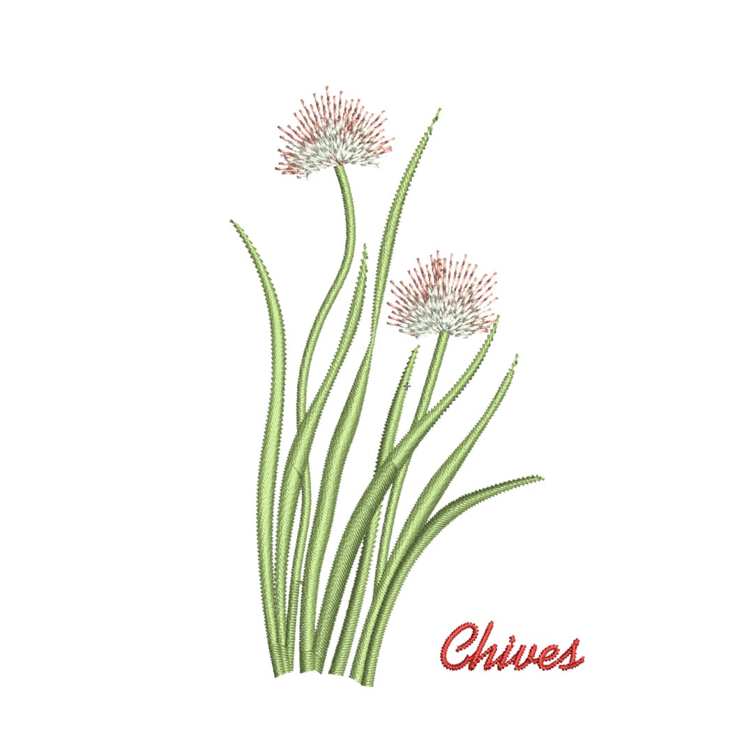 Chives Meadow Flower Medicinal Herb Machine Embroidery Tablecloth ...