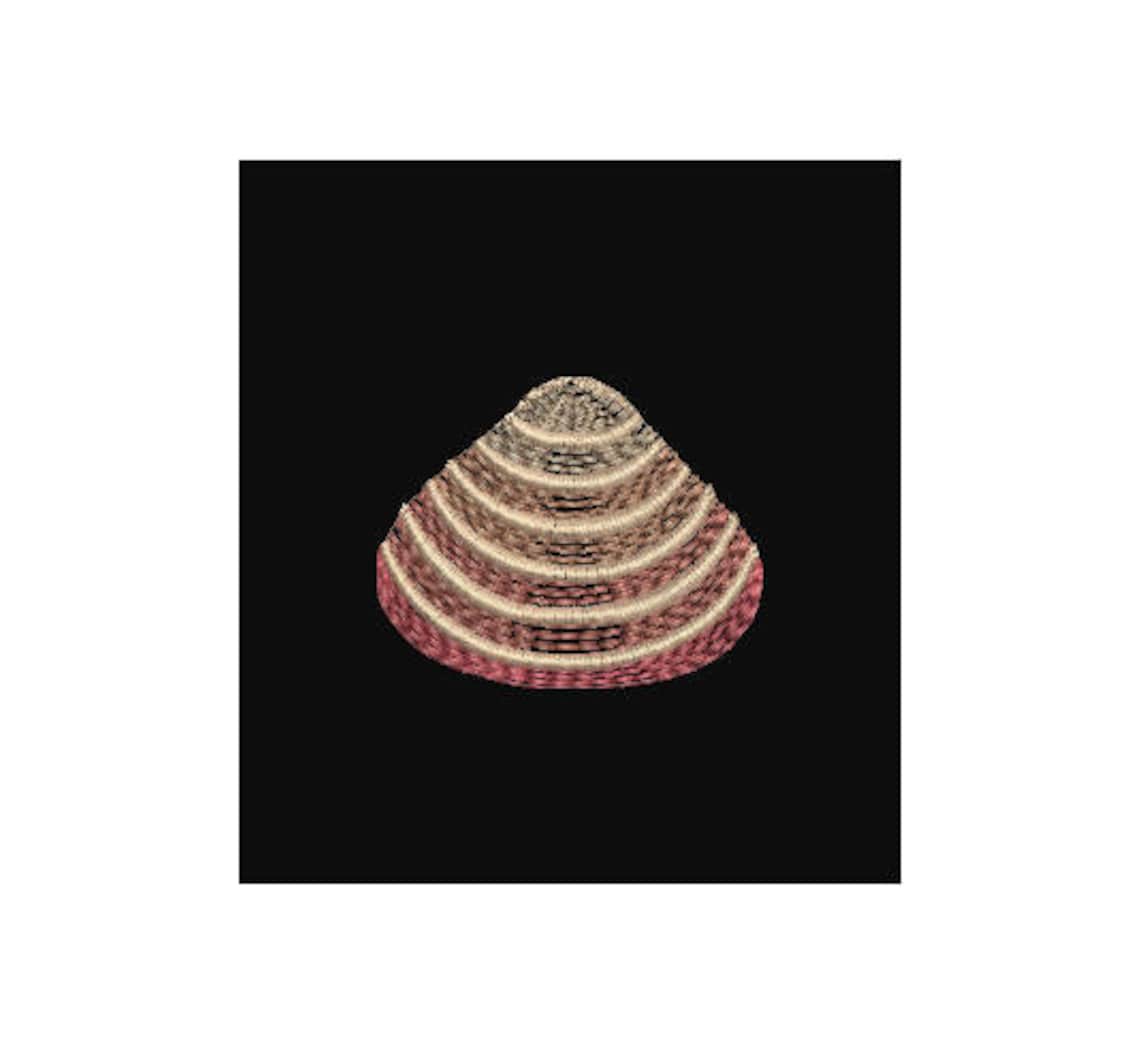 Sea Shells Machine Embroidery Bohemian Ocean Shell Design - Etsy